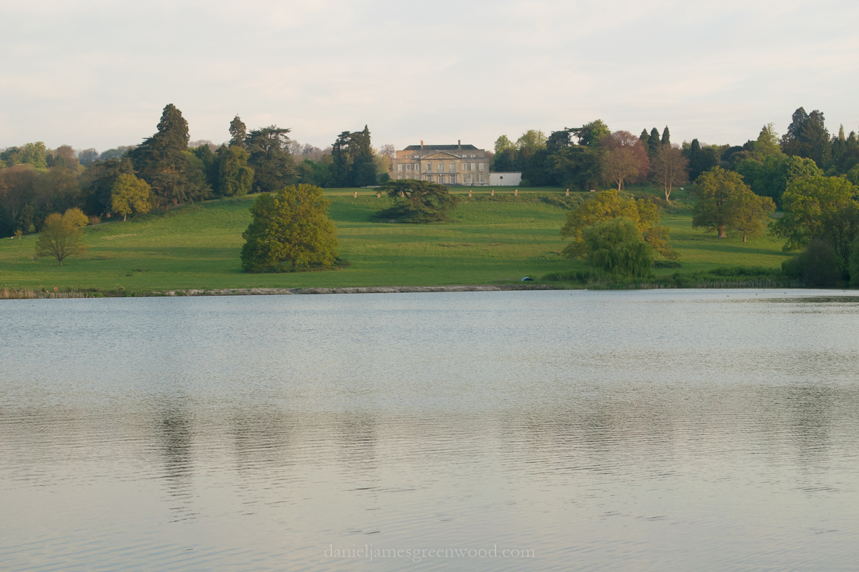 North Downs diary: The dawn chorus at Gatton Park – Unlocking Landscapes