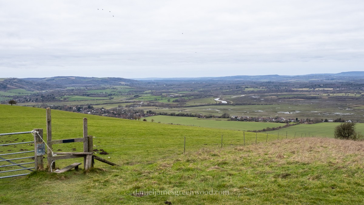 A tale of two hedges in the South Downs – Daniel Greenwood